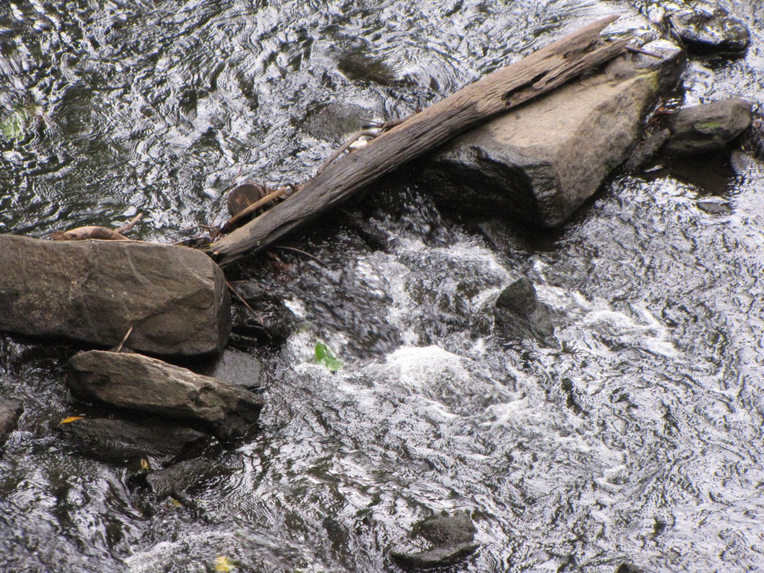 CBPC – Cambridge Body Psychotherapy Centre