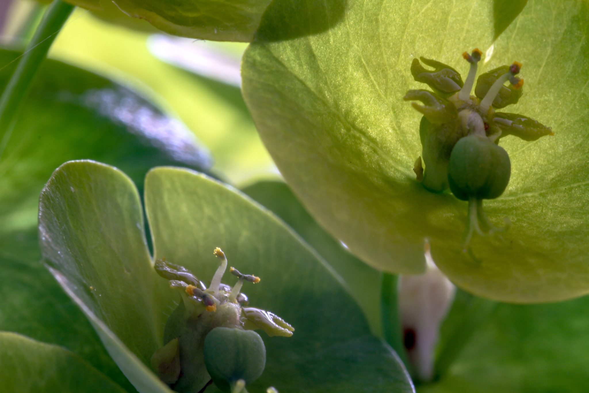 Body Psychotherapy Training – CBPC