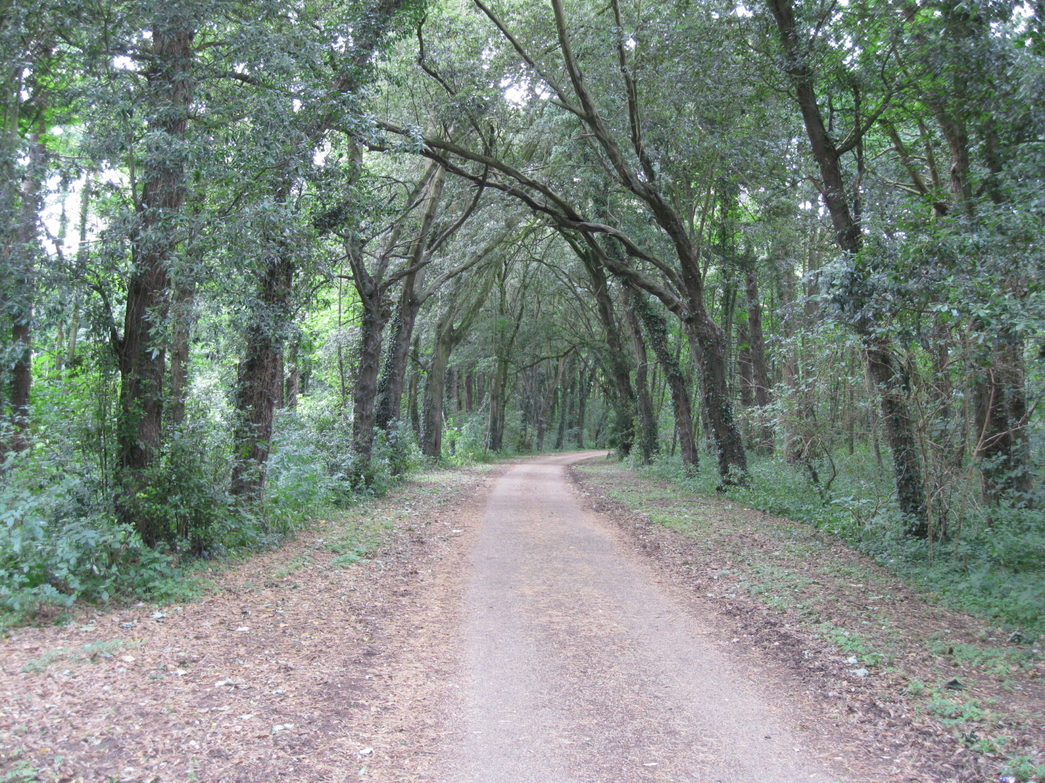 Body Psychotherapy Training – CBPC