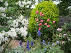 Body Psychotherapy Training – CBPC