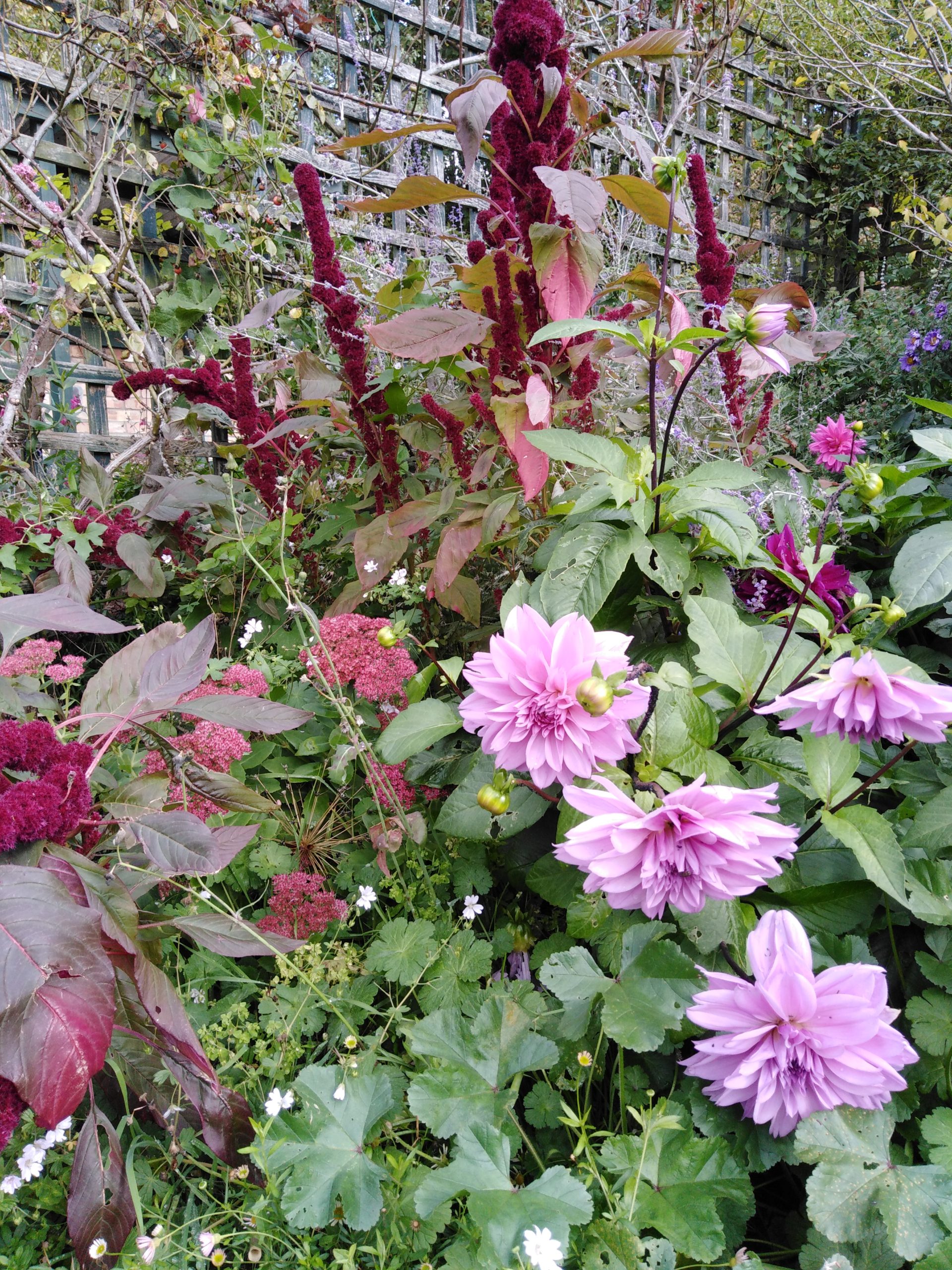 Individual Body Psychotherapy – CBPC